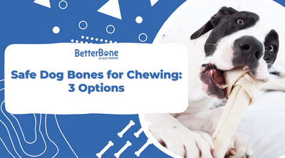 Safe Dog Bones for Chewing: 3 Options - BetterBone Natural Durable Dog ...