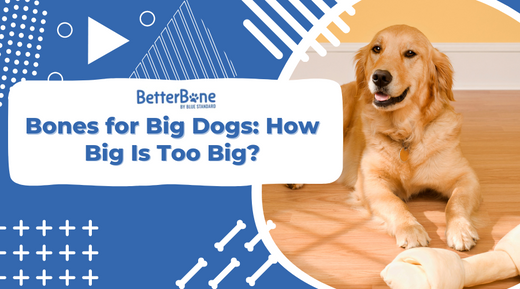 Bones for Big Dogs: How Big is Too Big? - BetterBone Natural Durable ...