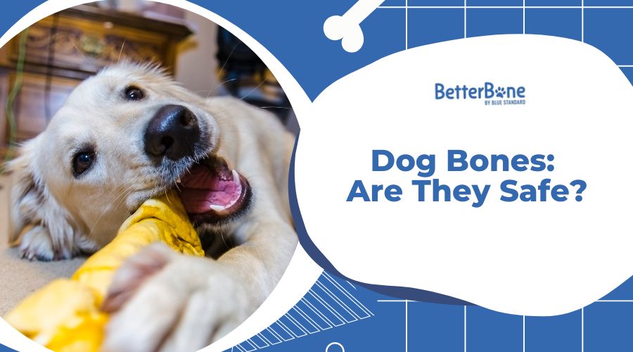Dog Bones: Are They Safe? - BetterBone Natural Durable Dog Chews