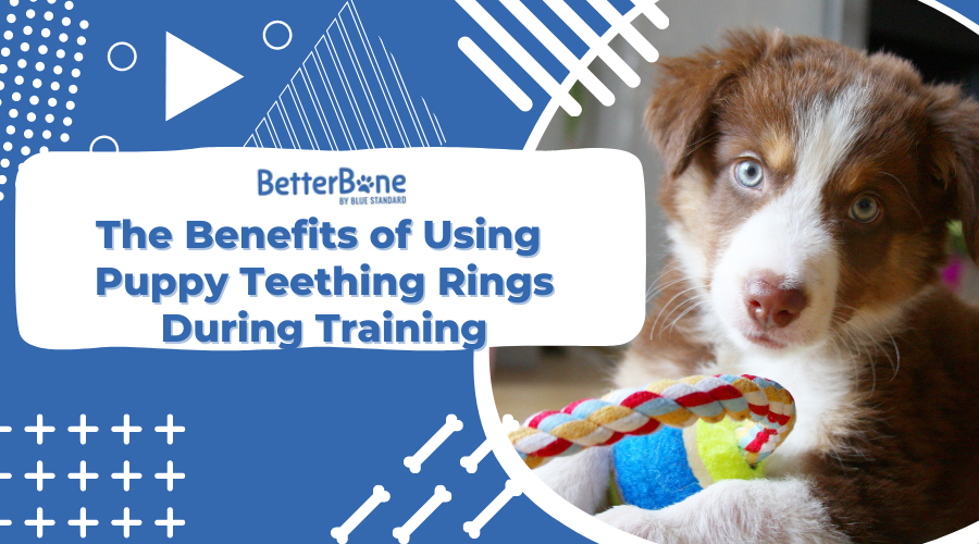 The Benefits of Using Puppy Teething Rings During Training - BetterBone ...