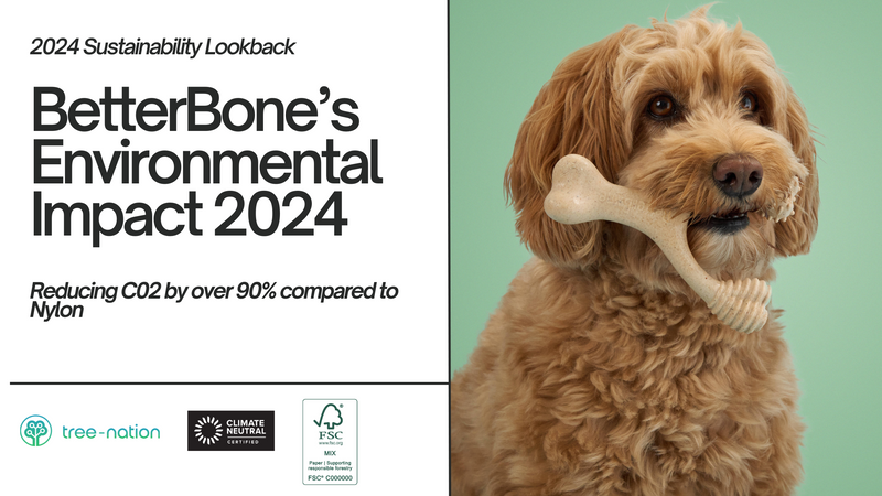 BetterBone: Pioneering Sustainability and Health for Dogs and Families ...
