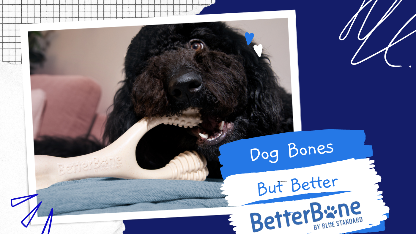 Healthy Dog Bone - The Better Bone - Natural Dog Bone - BetterBone ...