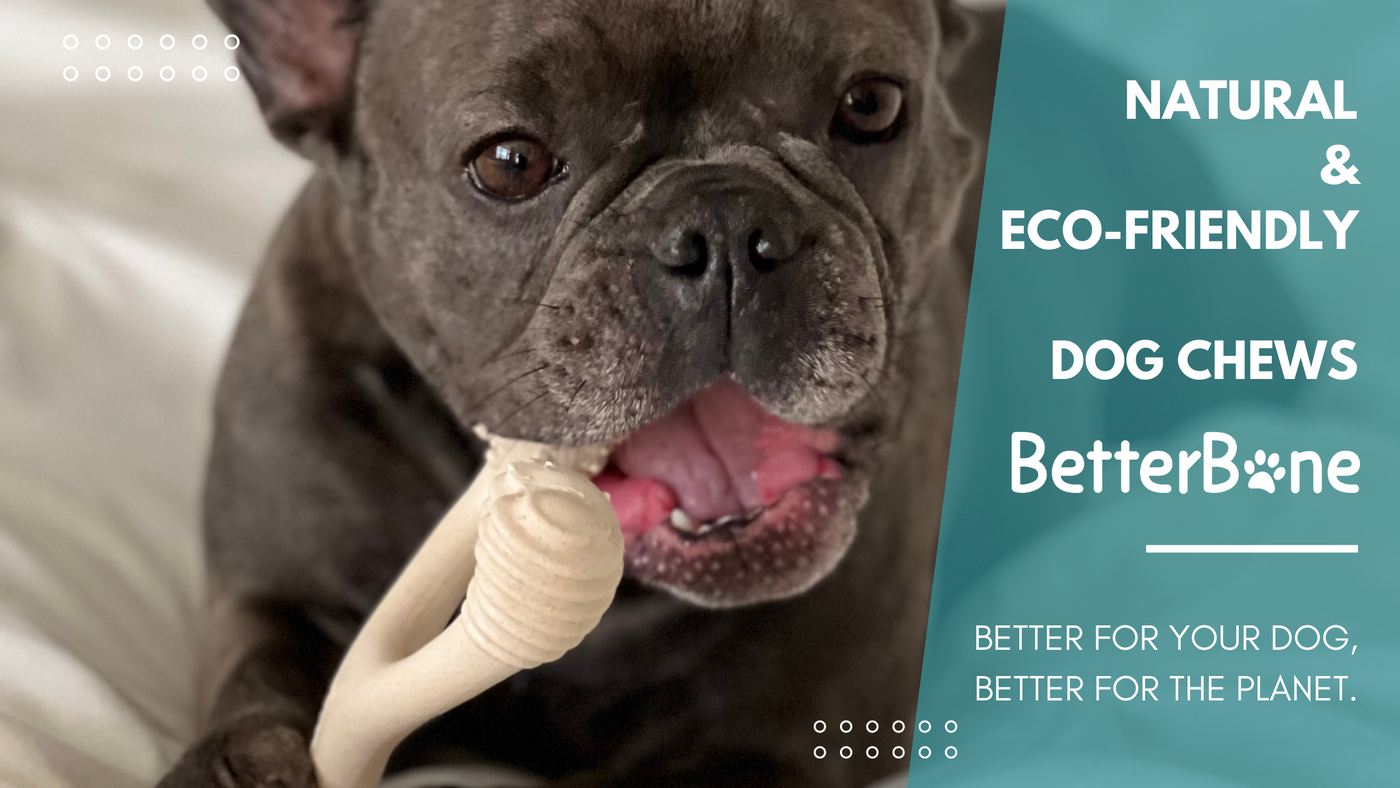 Natural and Eco-Friendly Chew Toys: Why BetterBone is the Best Choice ...