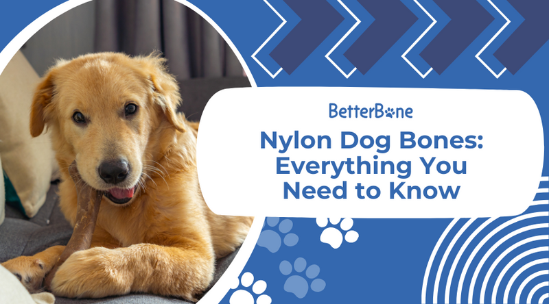 Nylon Dog Bones: Everything You Need to Know - BetterBone Natural ...