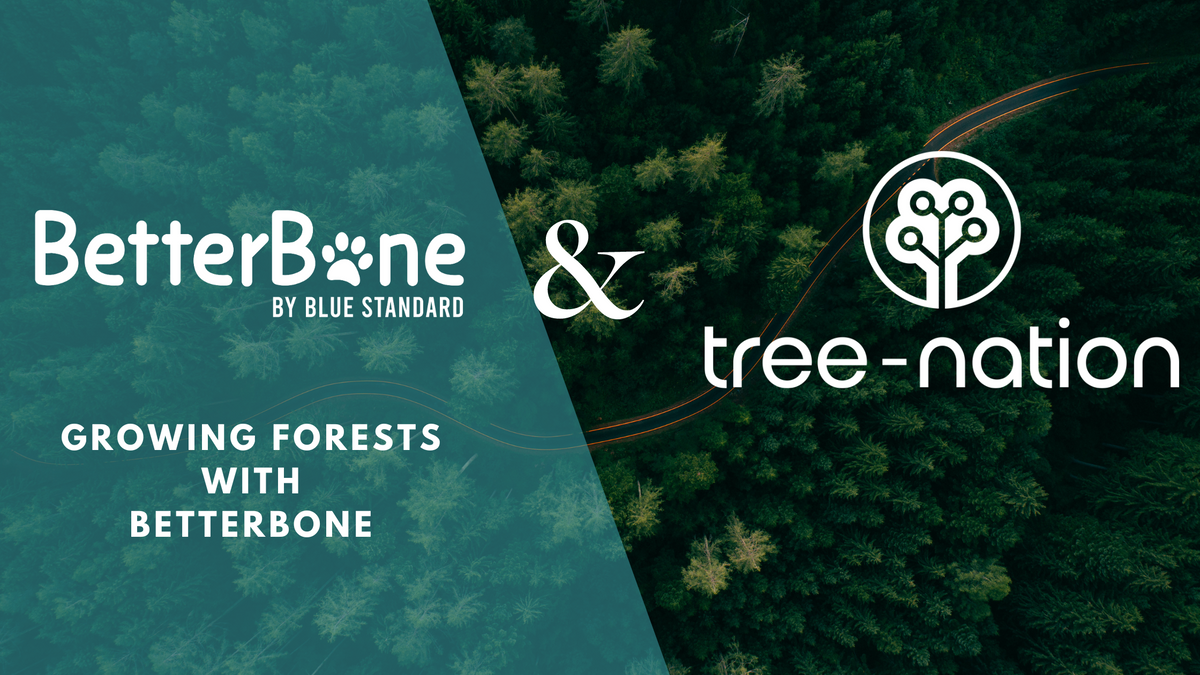 BetterBone. and Tree-Nation: A Partnership Committed to Sustainability ...