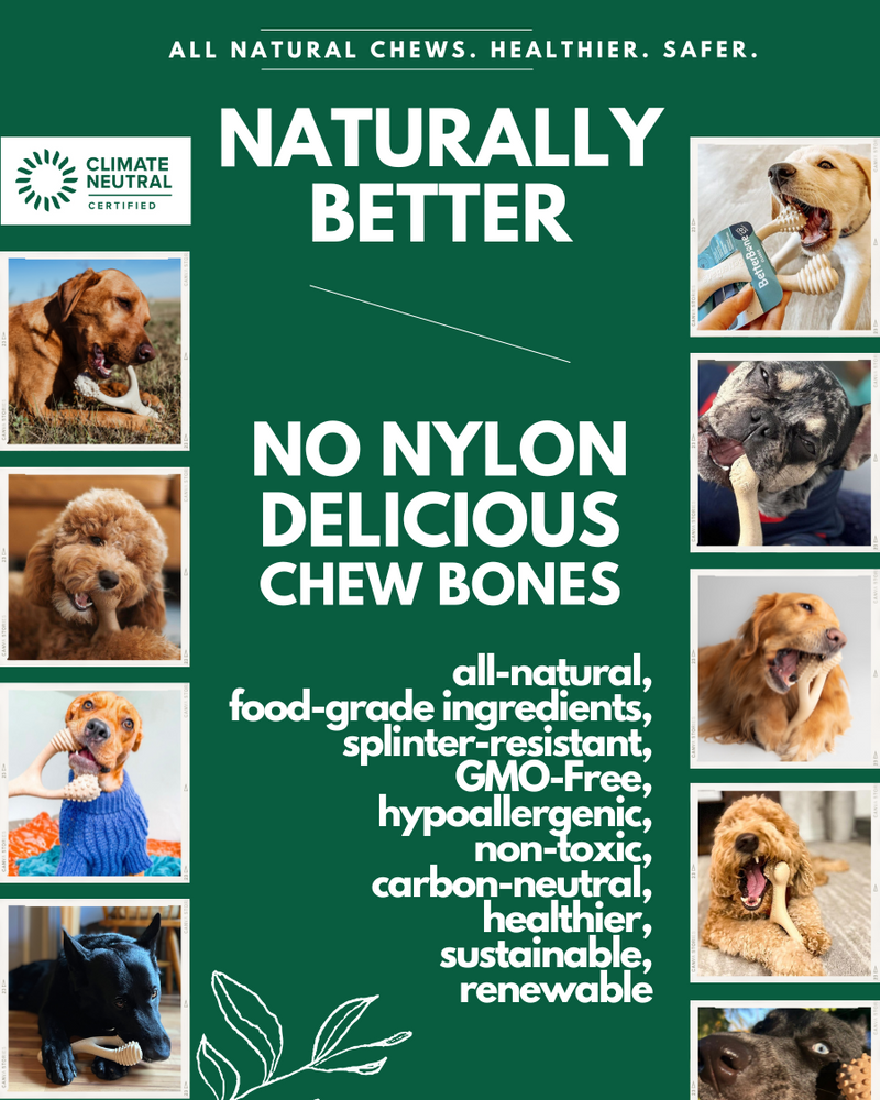 Better Bone All Natural Dog Bone | Sustainable & Hypoallergenic