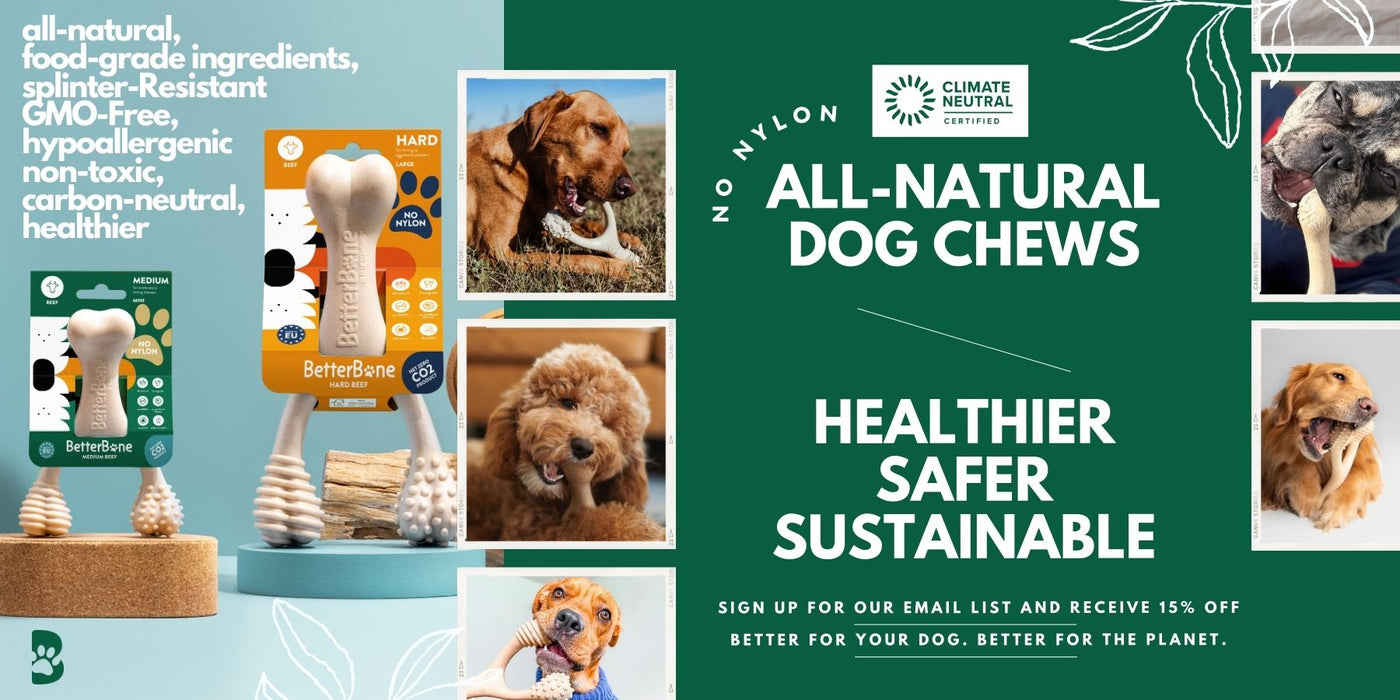 Better Bone All Natural Dog Bone | Sustainable & Hypoallergenic