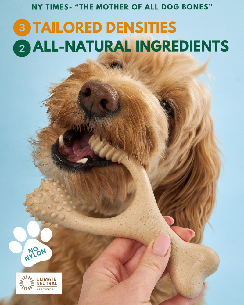 Better Bone All Natural Dog Bone | Sustainable & Hypoallergenic