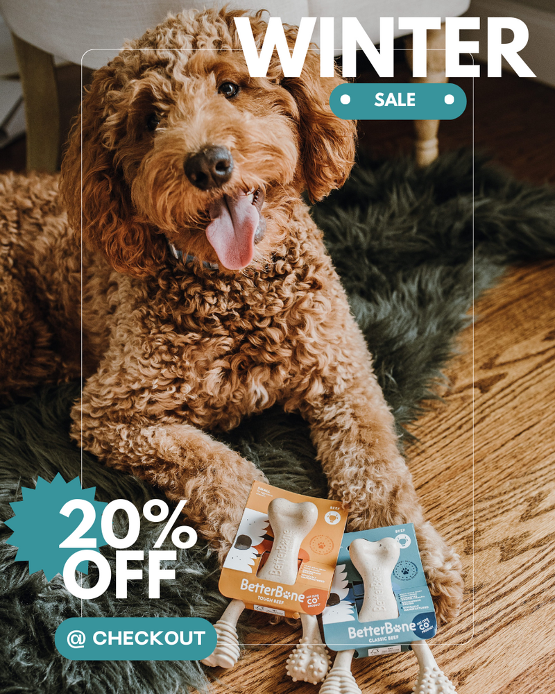 Better Bone All Natural Dog Bone | Sustainable & Hypoallergenic