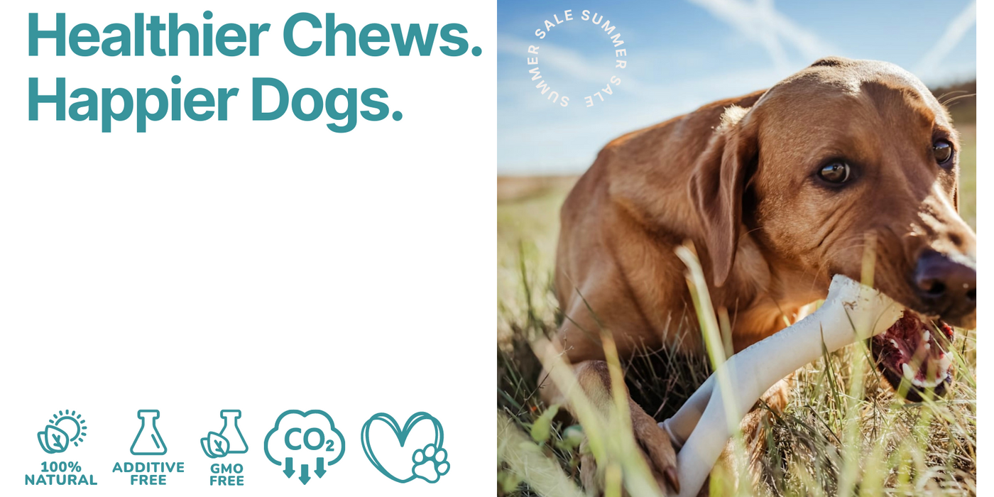 Better Bone All Natural Dog Bone | Sustainable & Hypoallergenic