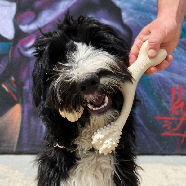 FAQ - The Better Bone Natural Dog Bone
